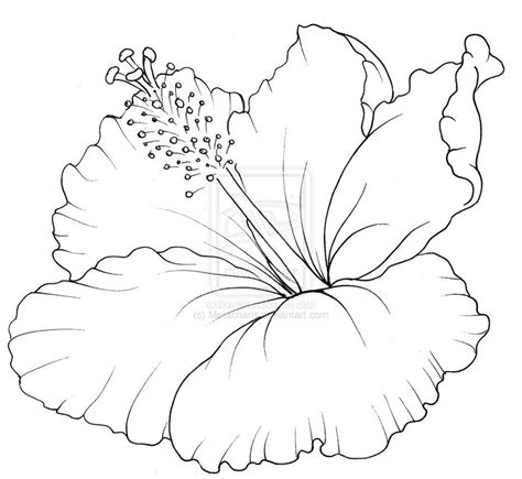 Hibiscus Flower Coloring Page