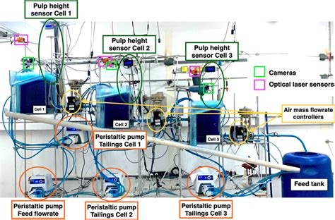 Experimental Flotation Bank With Three Cells In Series Peristaltic Download Scientific Diagram