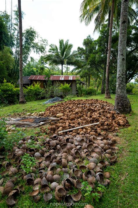 Naibid Falls Cascading Waterfall In Amlan Negros Oriental 2022