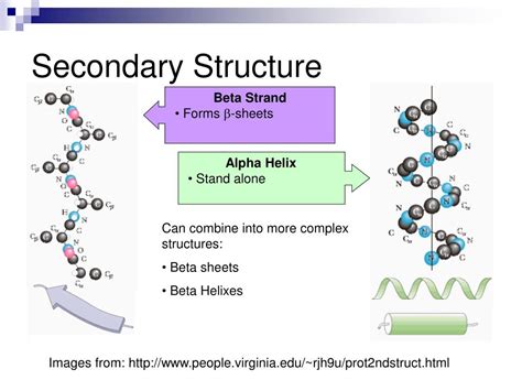 Ppt Finding The Beta Helix Motif Powerpoint Presentation Free Download Id 6099748