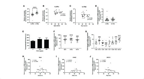 Uterine Epithelial Cells Express Type Iii Ifn Receptors And Respond Download Scientific