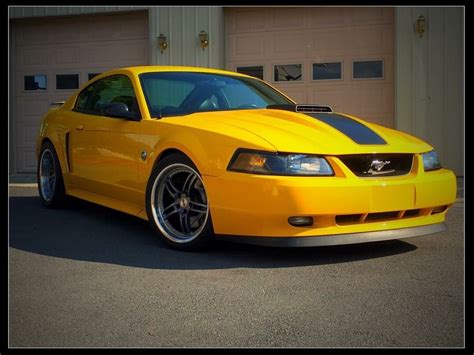 2004 Screaming Yellow Mach 1