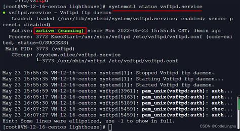 Solved FTP Setup Error Job For Vsftpd Service Failed Because The Control Process Exited With