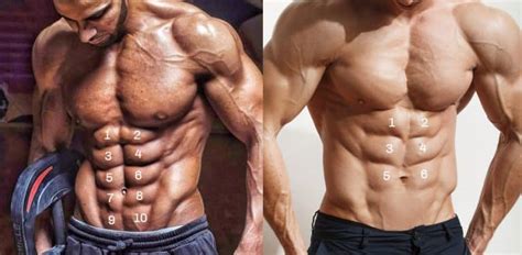 Is It Possible To Develop 10 Pack Abs Best Exercises Included