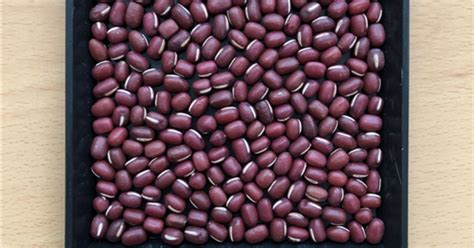 영농기술 Pick 벼·콩·팥·녹두·들깨 신품종 30종 신청하세요2월14일까지 시·군농기센터서