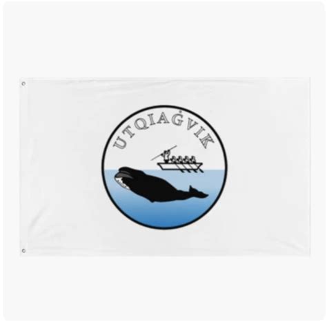 Alaska City And County Flags Official Municipal Flags Collection