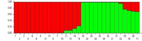 Population Structure Of Safflower Genotypes Analyzed By Using Bayesian Download Scientific