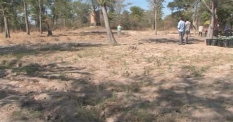 Land Degradation And Desertification A Concern For Namibia Nbc