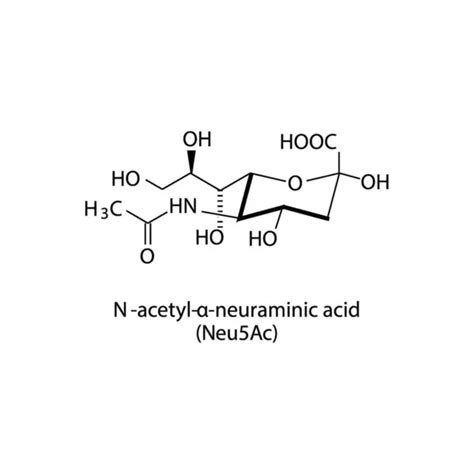 Diagrama De Estructura Molecular Del ácido N Acetil Neuramínico Neu5ac