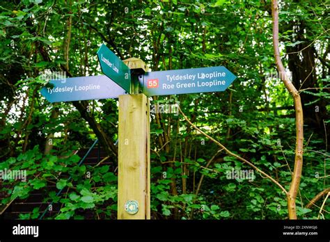 A Wooden Signpost In A Lush Green Forest Points Towards Tyldesley