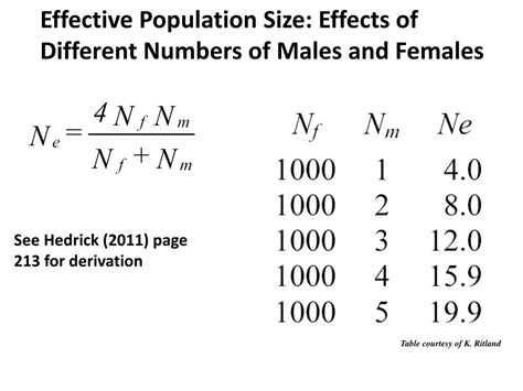 Ppt Lecture 12 Effective Population Size And Gene Flow Powerpoint Presentation Id 7075413