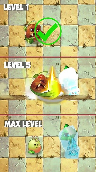 Pvz 2 Plant Food Abilities Plant Max Level Bean Sprout Vs Icecubed