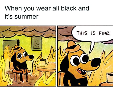 This Is Fine Meme — Origin Meaning History Memesguy