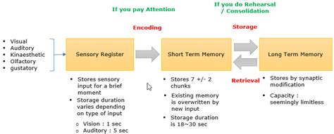 Neuro Science Sharetechnote