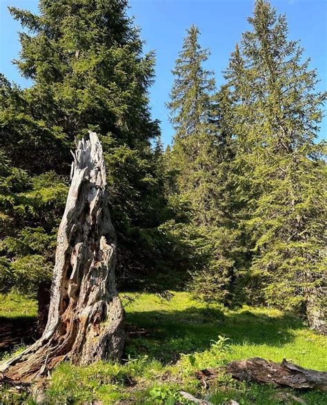 Bryan Logan Posted On Linkedin