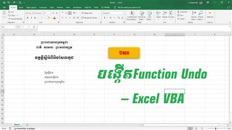របៀបបង្កើត Undo Function Excel Vba