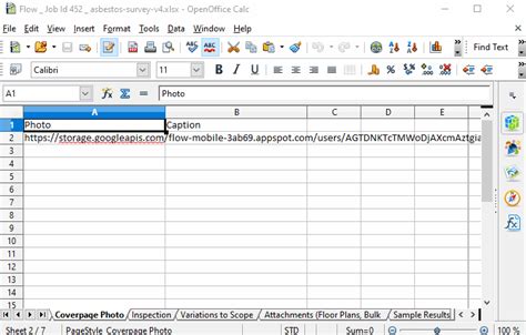 Exporting Report Data Flow Mobile Surveying