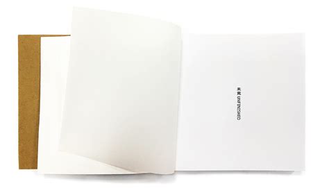 百年孤独 杨舒蕙作品集 未竟 Unfinished祛魅研究所 站酷zcool