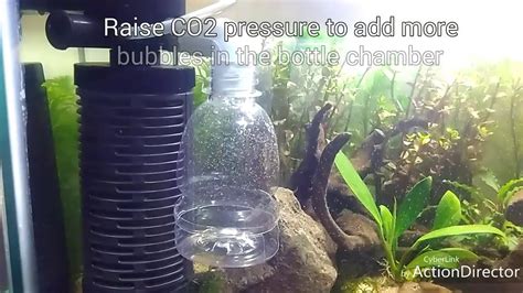 How To Make Diy Co2 Diffuser In 5 Minutes Type 1 Youtube