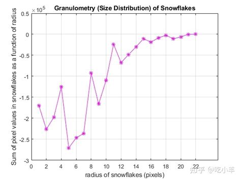 Matlab图像处理：51：雪花的粒度分析