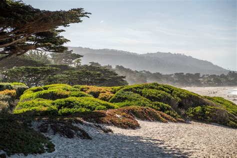 Carmel Beach Camp California