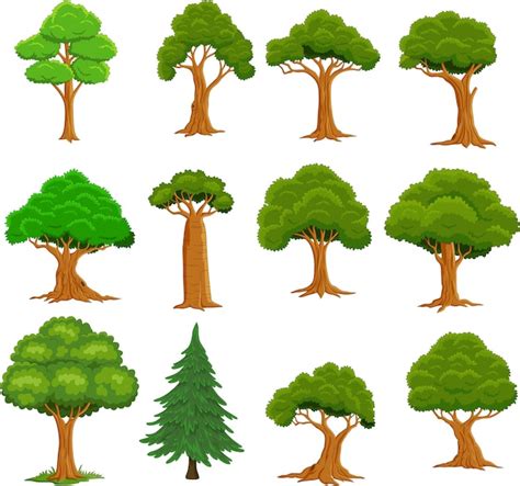 Premium Vector Set Of Cartoon Trees On White Background