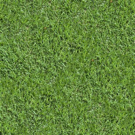 Baseball Field Grass Texture Seamless