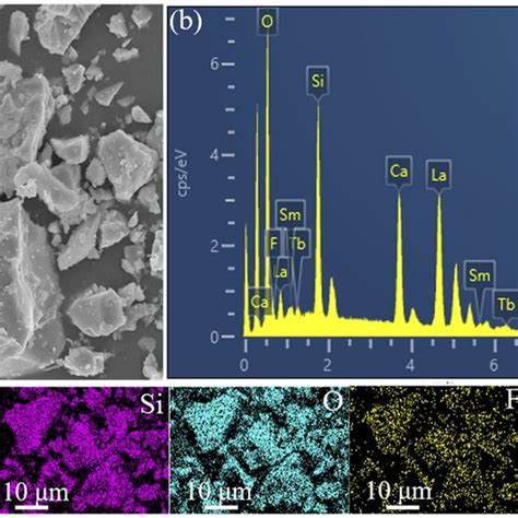 A Sem Image B Eds Spectrum And C Element Mapping Of Download Scientific Diagram