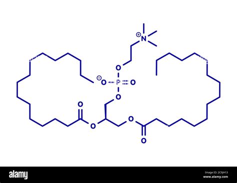 Pulmonary Surfactant Molecule Chemical Structure Of Dipalmitoylphosphatidylcholine Dppc The