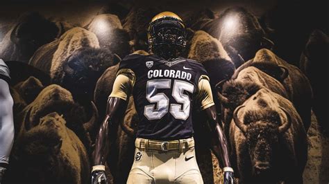 200 Colorado Buffaloes Wallpapers