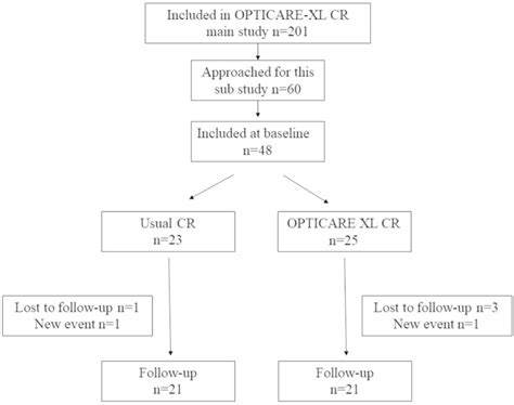 Flow Chart Standard Cr Standard Cardiac Rehabilitation Download