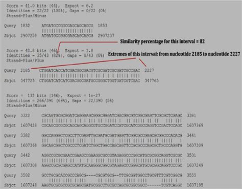 Blast Sequence Alignment Download Scientific Diagram
