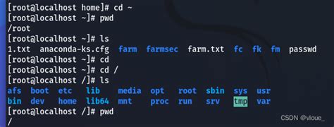 linux根目录和家目录的区别 linux家目录和根目录的区别 csdn博客