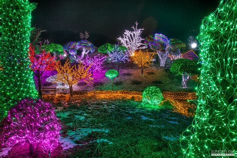 화려한 불빛의 향연 허브아일랜드 불빛동화축제