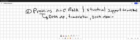 Solved Nuclear Matrix Is Made Mainly Of And The Chromatin Fibers Are