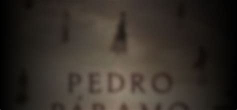 Sexiest Pedro Páramo 2024 Nude Scenes Top Pics And Videos Mr Skin
