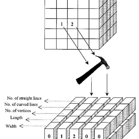 Example Of The Input Coded For Objects In Nam Objects Were Coded In Download Scientific