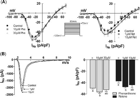 Phenanthrene And Retene Increase The Fast Na Current I Na In