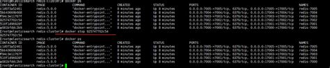 docker redis 三主三从集群架构搭建 八度空间