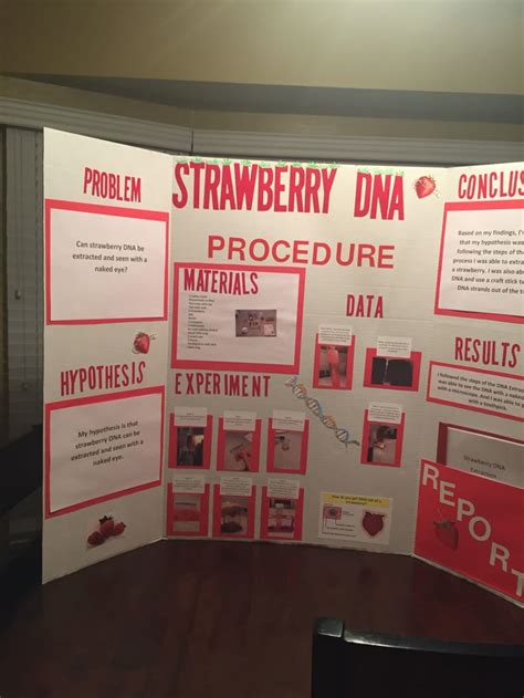 Pin By Emily Smilo On Science Fair Easy Science Fair Projects