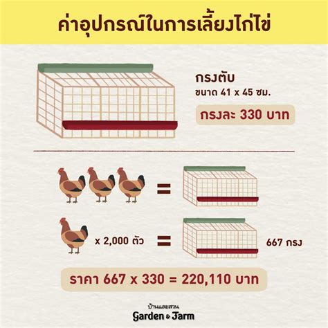 ทำฟาร์มเลี้ยงไก่ไข่ เป็นอาชีพ ต้องลงทุนเท่าไหร่ให้มีรายได้และทำกำไร