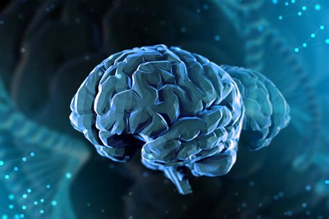 3d 그림 디지털 두뇌입니다 인공 지능 및 마음의 무한 한 가능성의 개념 감각 지각에 대한 스톡 사진 및 기타 이미지 감각 지각 개념 과학 Istock