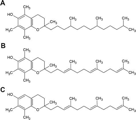 Structure Of Tocopherol And Tocotrienols A α Tocopherol Structure