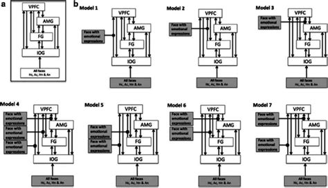 Defining Models A A General Model Is Specified With Bidirectional
