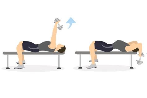 Лучшие упражнения на грудь с гантелями — тренировка дома