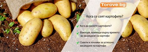 Кога се сеят картофите