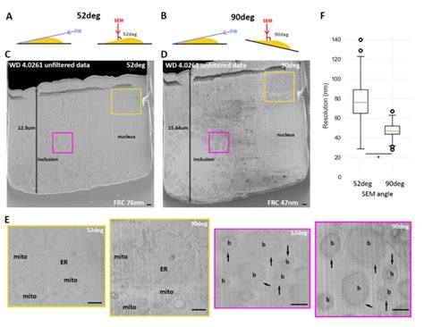 52° Vs 90° Stage Tilt A And B Schematic Of Sem Red Arrow And