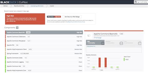 Black Duck Open Source Audits