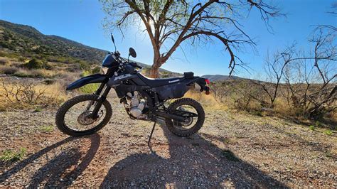 What Are Everyones Thoughts On The Felt Pen Nibs R Huion